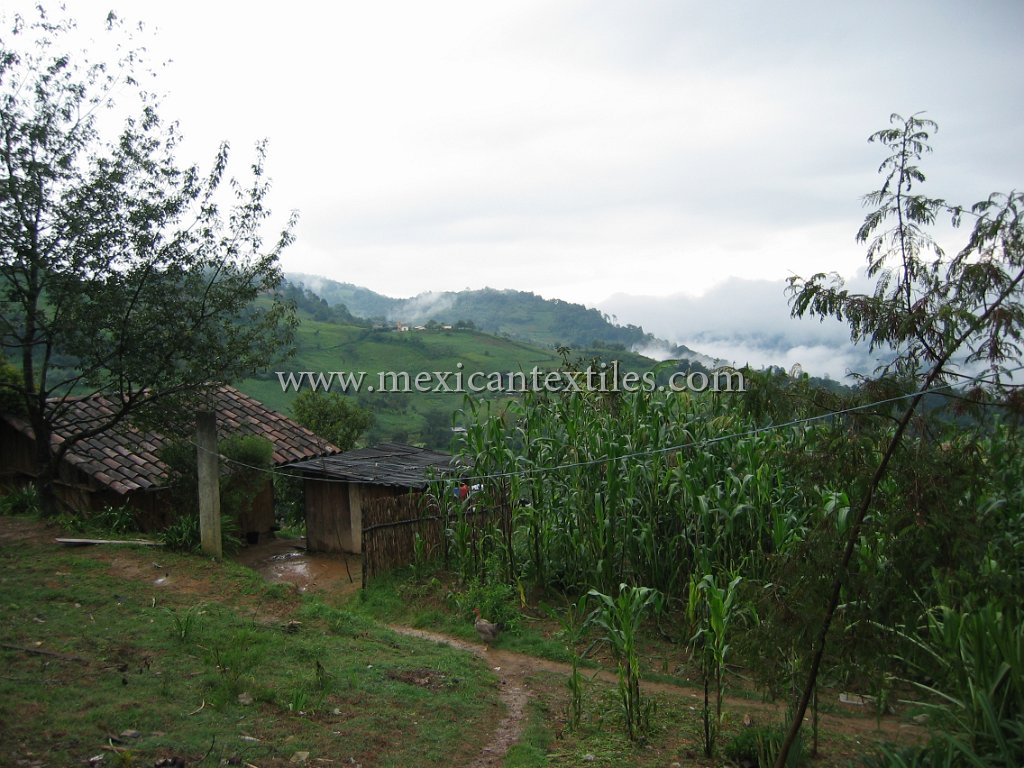 Mexican Indigenous Textile Project